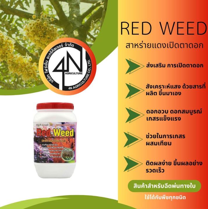 Red weed | Lazada.co.th