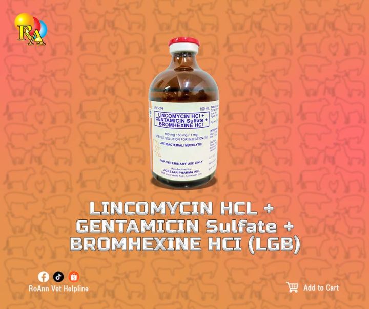 Lincomycin HCL+ Gentamicin Sulfate + Bromhexine HCI (LGB) 100mg/50mg ...
