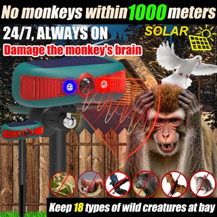 Ultrasonik Penghalau Monyet【New 100x Ultrasonic】Monkey Repellent Ultrasonic Refund if useless ...