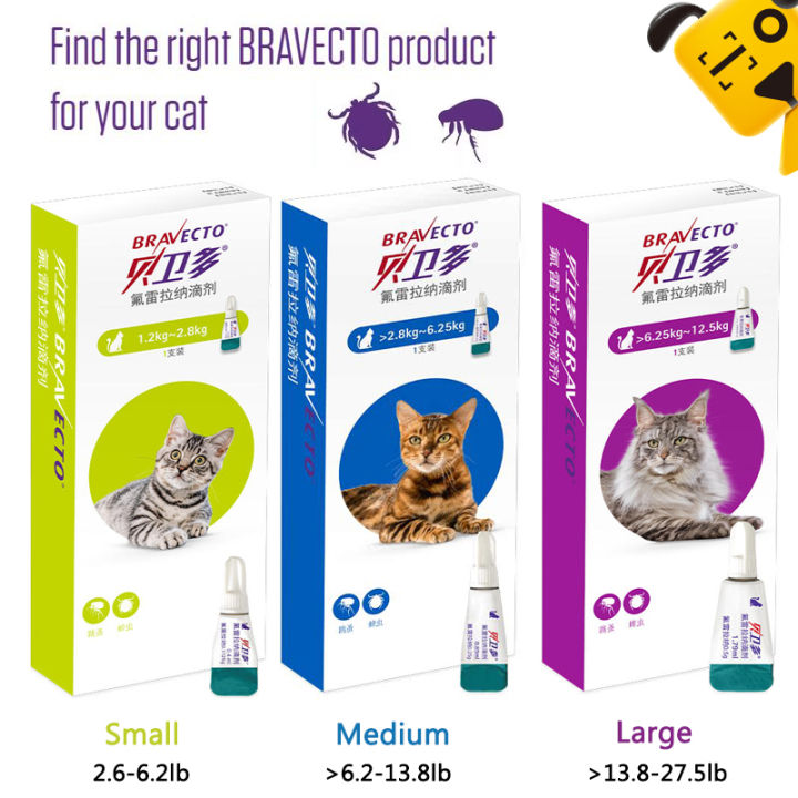 BRAVECTO 1 Dose Topical Solution Fleas & Ticks 3 Months for 1.2-12.5kg Cats | Lazada PH