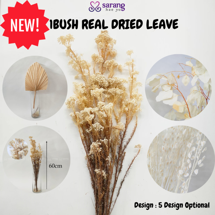 ⚡️SARANG HAE YO 1 BUSH REAL DRIED LEAVE/ REAL PRESERVED/ BOUQUET FLOWER ...