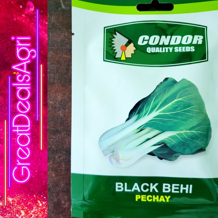 BLACK BEHI (8 GRAMS) OPV PETCHAY SEEDS CONDOR SEEDS | Lazada PH