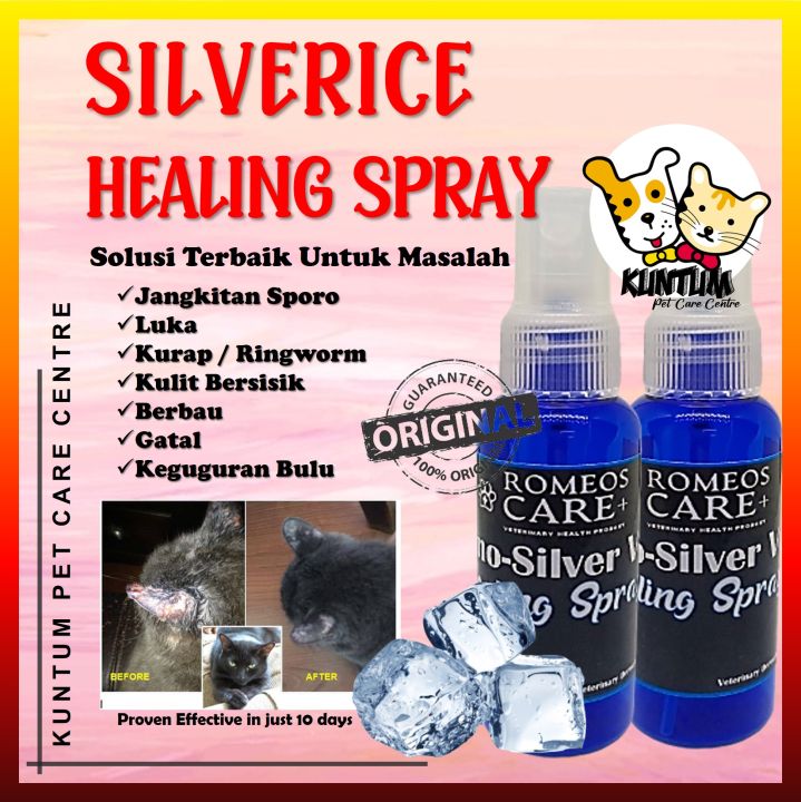 🔥Hot Arrival🔥 SilverIce Dermatology Healing Spray SIL Life Veterinary ...