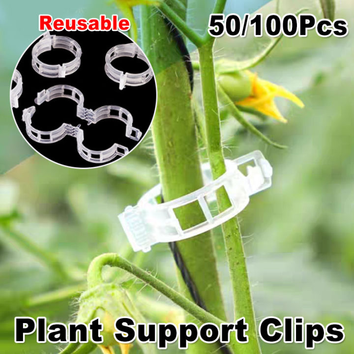 50/100Pcs Plastic Plant Support Clips/Fixing Clips/Vegetable Supports ...