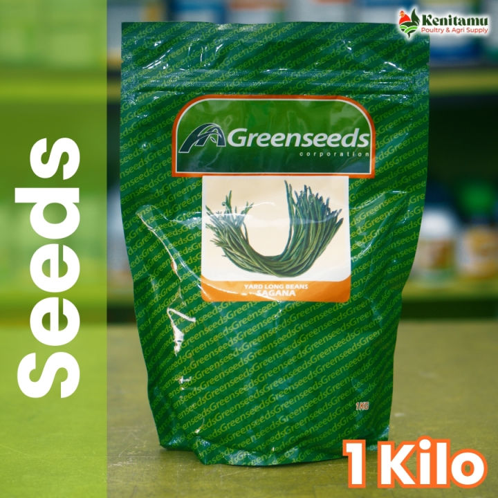GreenSeeds Sagana Yard Long Beans Seeds – 1 Kilo High-Yield Sitaw Seeds ...