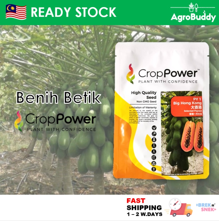 CropPower Papaya Seeds / Benih Betik Sekaki Big Hong Kong (PY1 ...