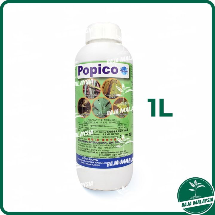 POPICO Racun Karah Kulat Jenis Serap 1 Liter | Lazada