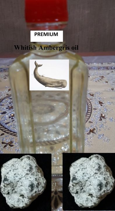 Premium Whitish Ambergris Oil-Non Alcoholic (6ml) | Lazada Singapore