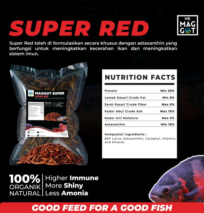 MR MAGGOT - Maggot Kering Super Special Edition 50 Gram - Kemasan ...