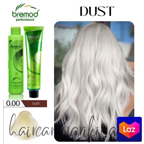 0.00 DUST with Oxidizer (BREMOD) | Lazada PH