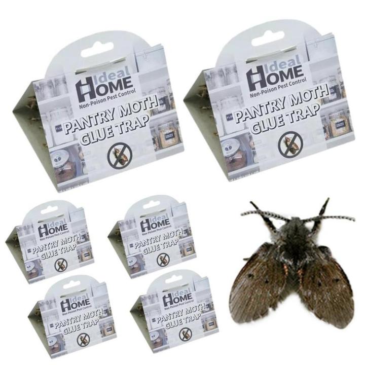 Moth Traps 6PCS Moth Traps for Indoors Ecofriendly Fly Catcher Sticky ...