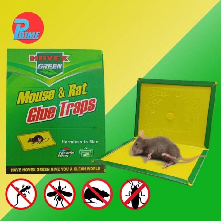 PRIME Trending Original Mouse and Rat Catcher Glue Trap Rodent Expert ...