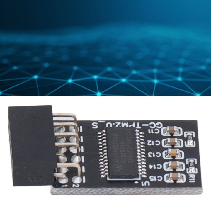 Tpm 2 0 Module Remote Card Encryption Security Board For Gigabyte Users Lazada Singapore