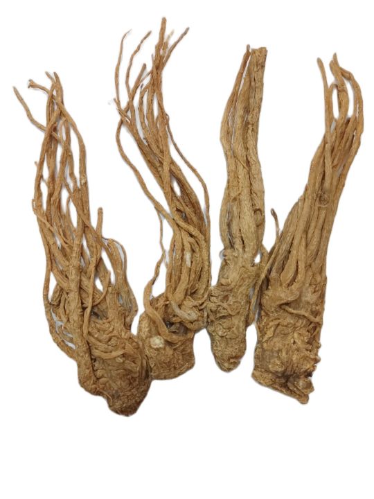 tongkoy 100g | Lazada PH