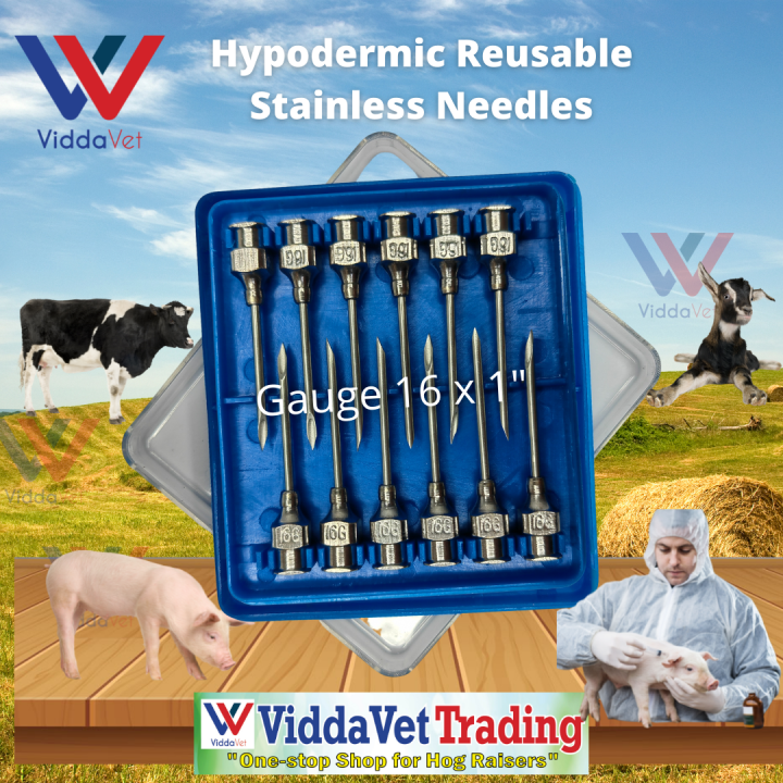 EliteVet 1 Dozensyringe needle for pig syringe needle Gauge 16x1 inch ...