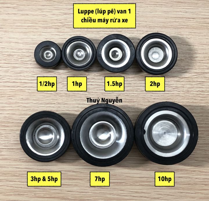 Luppe (lúp bê) van một chiều máy rửa xe 1/2hp, 1hp, 1.5hp, 2hp, 3hp&5hp ...