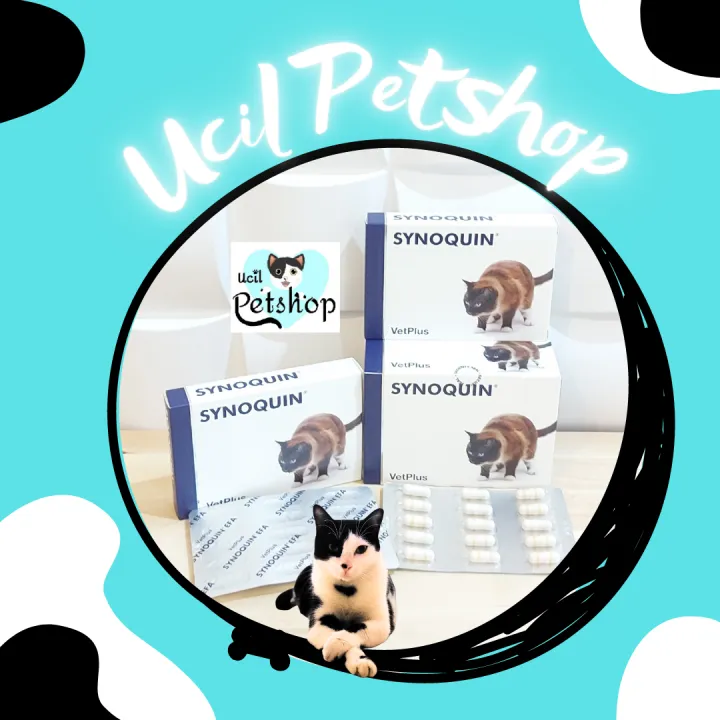 Synoquin EFA ORIGINAL Suplemen Tulang, Sendi & Otot Kucing (1 Capsule ...