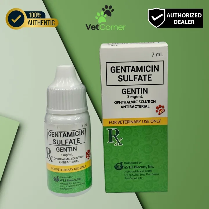 GENTIN - (Eye Drops) Gentamicin Sulfate - 3 mL | Lazada PH