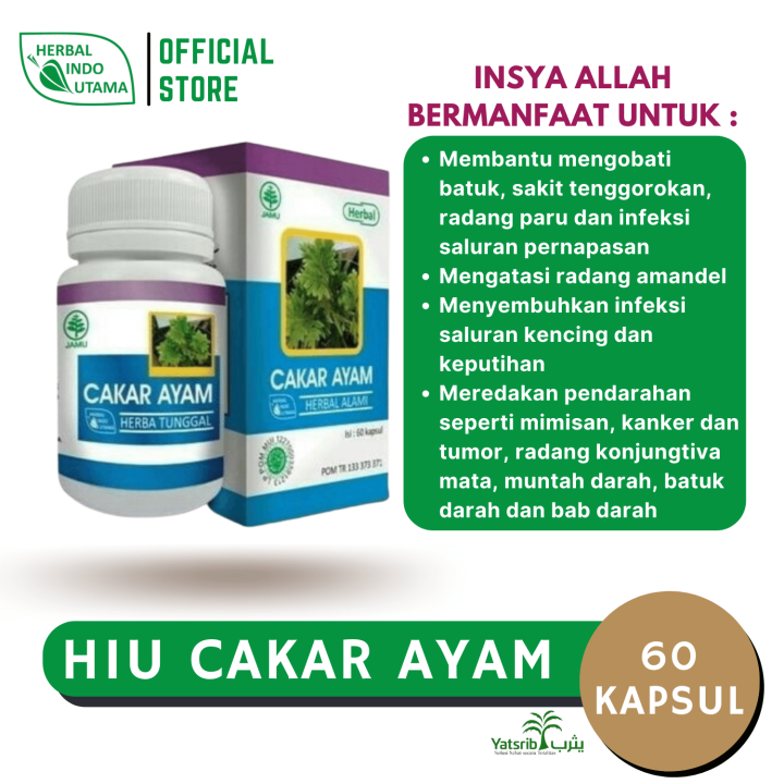 HIU CAKAR AYAM | Obat Herbal untuk Menghentikan Pendarahan | Lazada ...