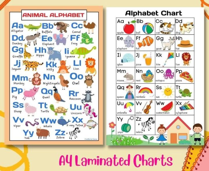 A4 Laminated Chart Wall Chart Learning Chart for Kids | Lazada PH