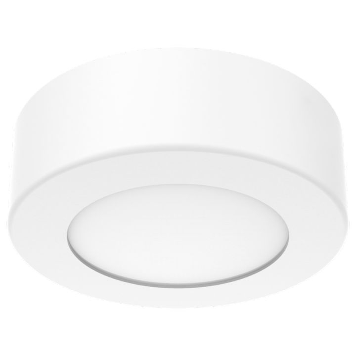 Firefly Basic Series LED Surface Slim Round Downlight - 6W | Lazada PH