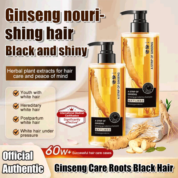 Ginseng and Ganoderma Shampoo Gentle cleansing herbal extract anti-hair loss shampoo | Lazada PH