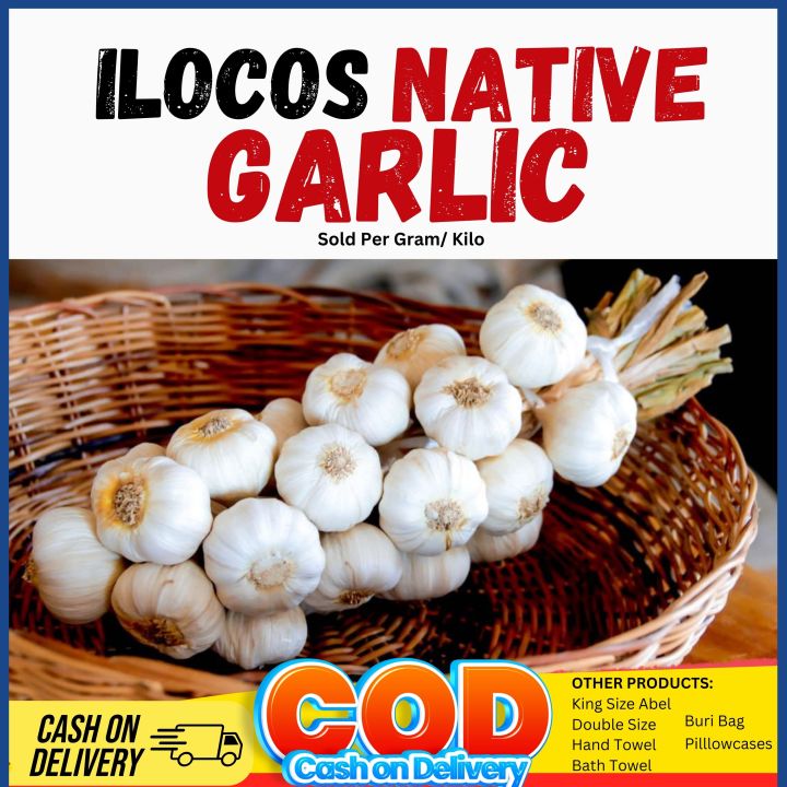 Ilocos Native Garlic Bawang Mabango grams Ilocos Garlic Big Size Native ...