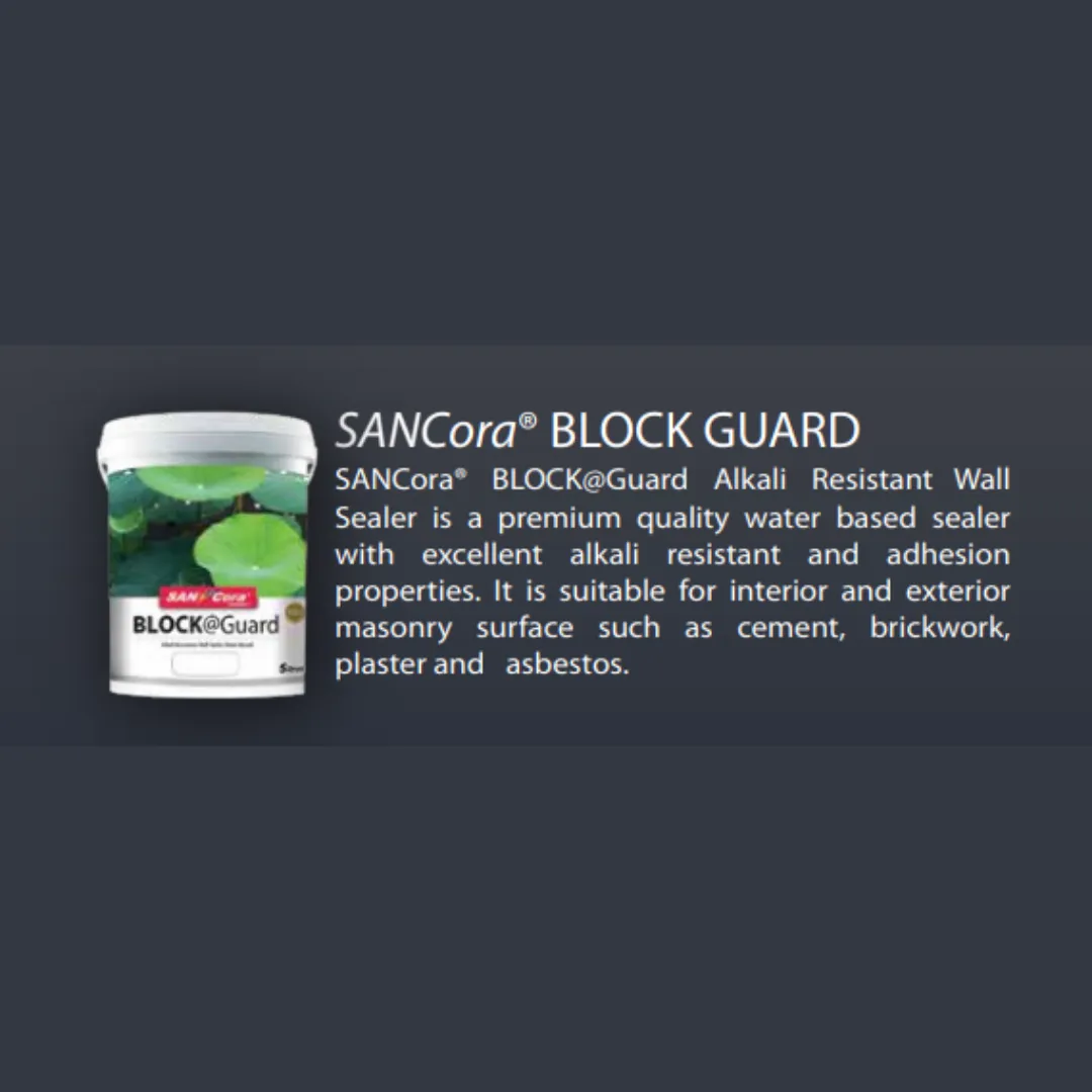 Sancora BLOCK Guard (Water) 5 Litre / 18 Litre Alkali-Resistant Wall ...