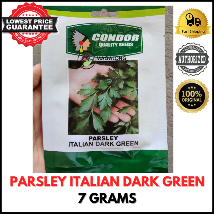 CONDOR SEEDS - PARSLEY SEEDS - ITALIAN DARK GREEN 7 Grams | Lazada PH
