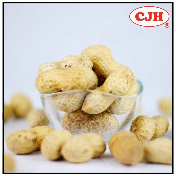 Peanut with Shell RAW Home Packed CJH 500G 1Kg And 1.5Kg | Lazada