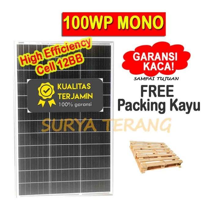 SOLAR PANEL SURYA 100WP MONO SOLAR CELL 100WP MONO + PACKING KAYU ...
