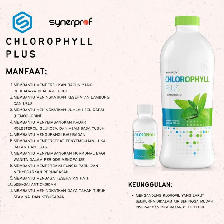 Chlorophyll Plus Synergy Asli | Obat Herbal AntiOksidan Peningkat Daya ...