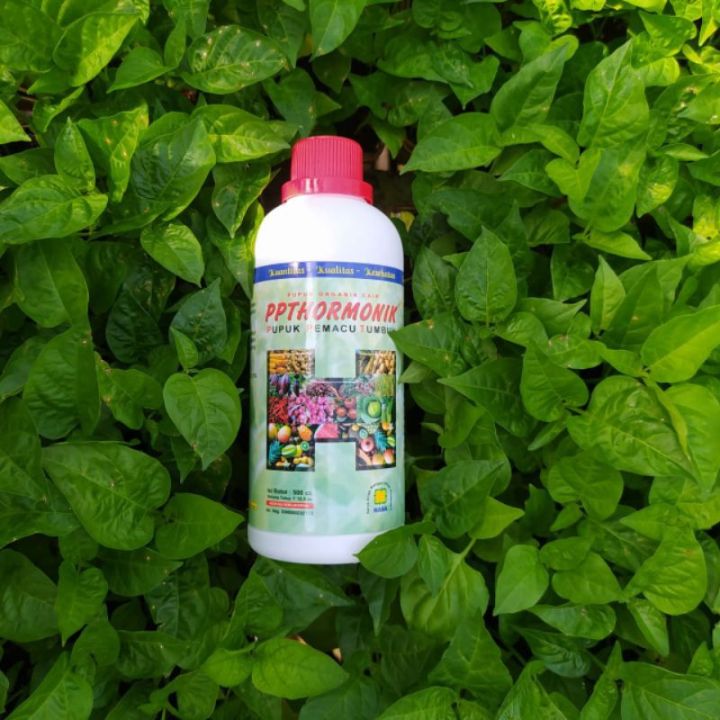 HORMONIK NASA KEMASAN 500 CC/ pupuk pelebat buah anti rontok/ PUPUK ORGANIK CAIR UNTUK BUNGA ...