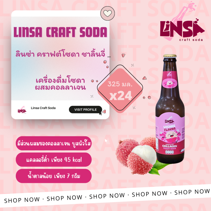 ลินซ่า ลิ้นจี่ คราฟต์โซดา 325 มล. 24 ขวด Linsa Lychee Craft Soda ...
