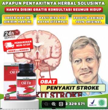 Kapsul Oil Fit Obat Stroke Untuk Anak dan Dewasa Gejala Stroke Sebagian ...