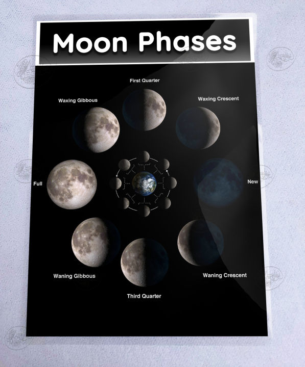 Moon Phases Laminated Educational Chart (A4) Wall charts for kids ... Moon Phases Laminated Educational Chart (A4) Wall charts for kids ...