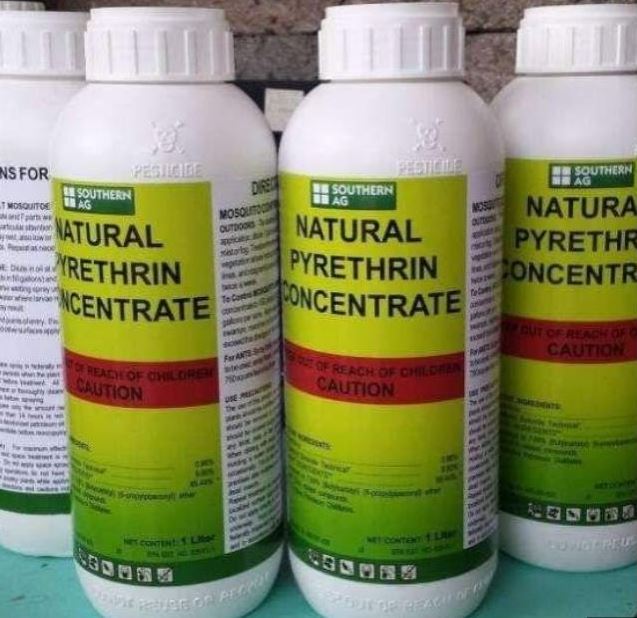 Natural Pyrethrin Concentrate (1 Liter) dengue fogging misting mosquito ...