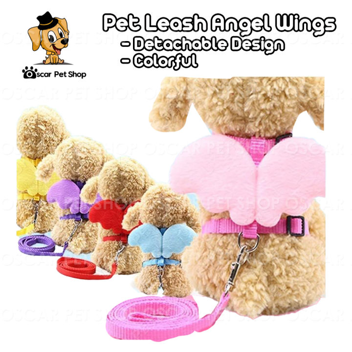 Pet Dog Leashes Collars Set Puppy Leads Angel Wing Harness | Lazada PH