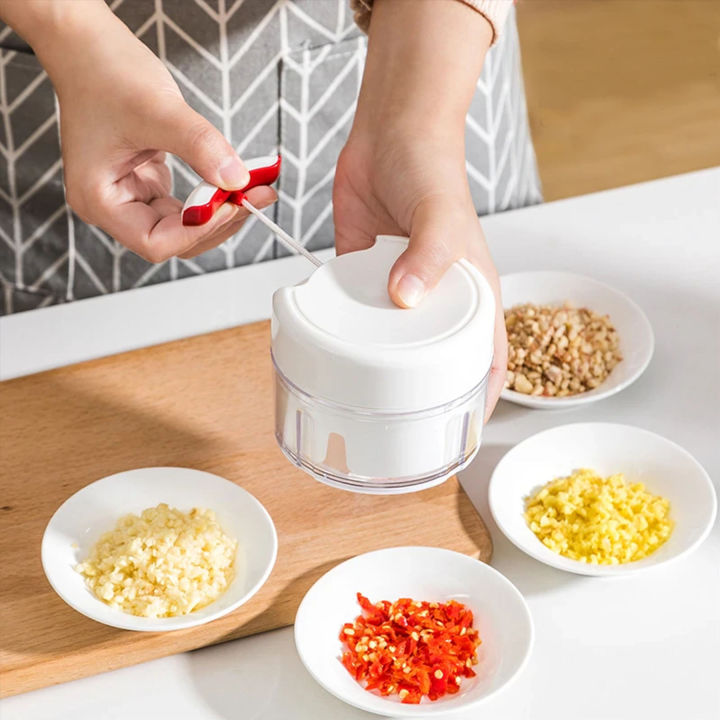 Kaisa Villa Manual Garlic Chopper, Kitchen Chopper Masher Hand Food ...