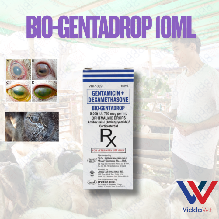 Bio Gentadrop 10ml Ear and Eye Healing Drops for Pets livestock sheep ...