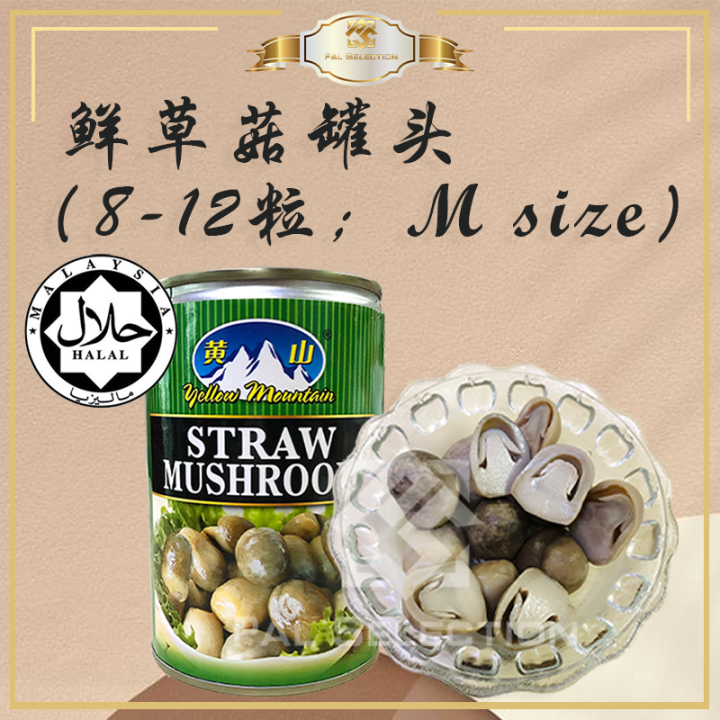 [HALAL] Cendawan Jerami/ Cendawan Straw Yellow Mountain Whole Straw ...