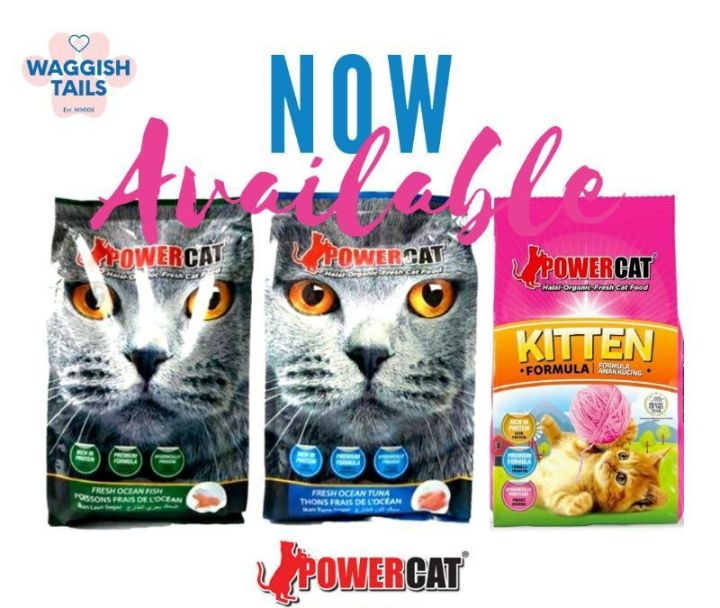 Power Cat for Adult/Kitten (1kg repacked) | Lazada PH
