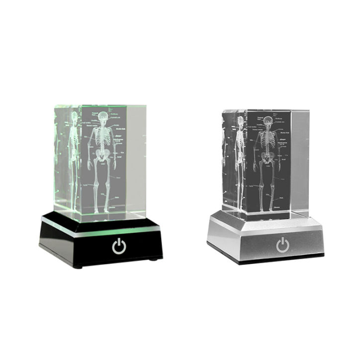 3D Laser Engraved Human Skeletal Crystal Cube Figurines, Medical ...