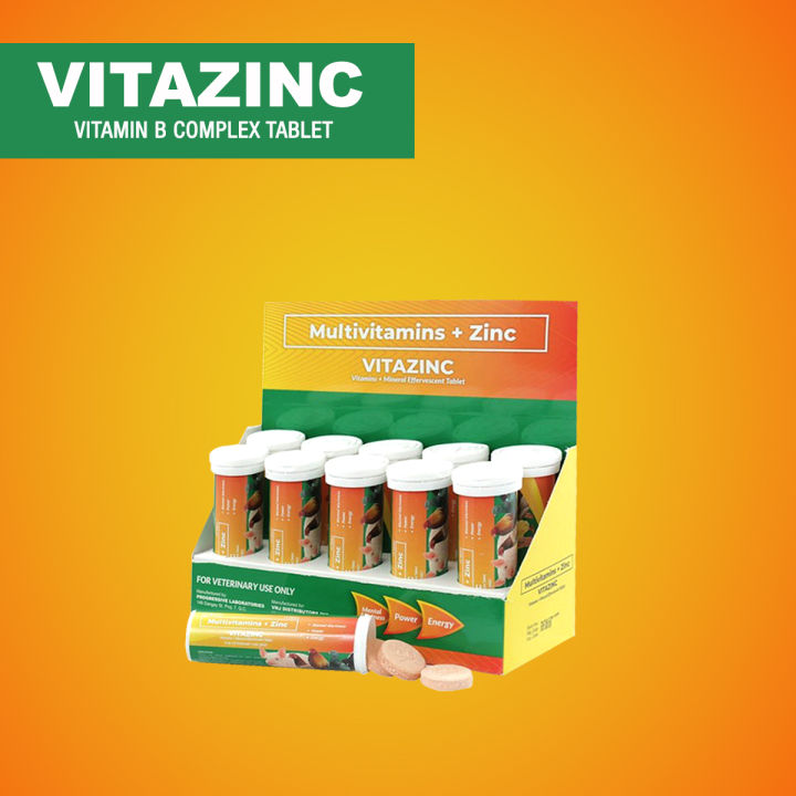 VITAZINC EFFERVESCENT TABLET | Lazada PH