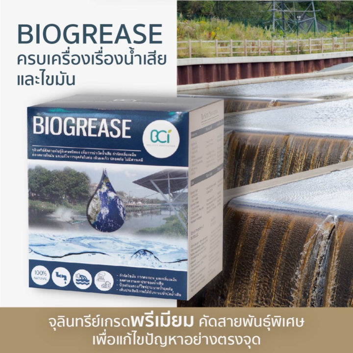 BIOGREASE จุลินทรีย์คัดสายพันธุ์สำหรับบำบัดน้ำเสีย ย่อยสลายไขมัน ปรับ ...