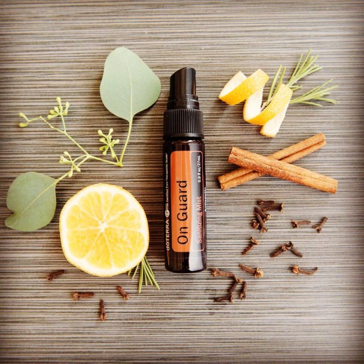 On Guard Sanitizing Mist | Lazada PH