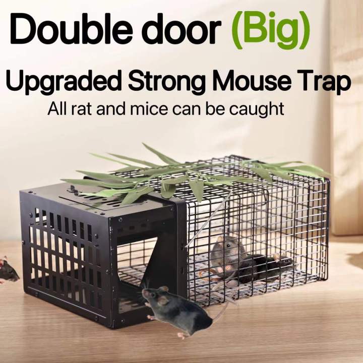 2022 New Reinforced Mesh Double Door Sensitive Continuous Catch Mice ...