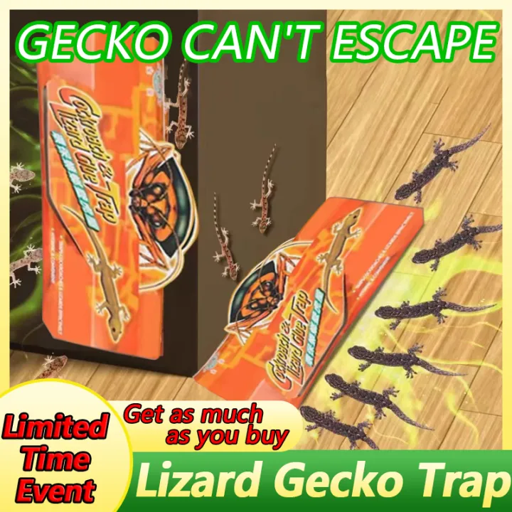 Buy 1 Get 1 Free Lizard Gecko Trap Killer lizard killer lizard ...