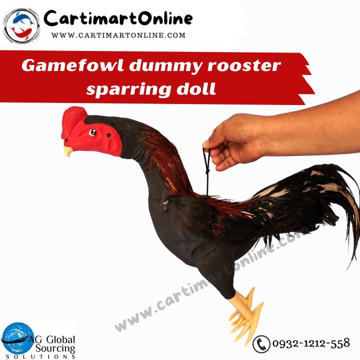 Gamefowl Dummy Rooster Sparring Doll | Lazada PH