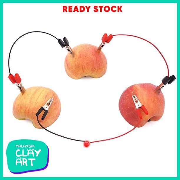 Experiment Fruit Battery DIY Puzzle Pack STEM Toy | Science Education ...